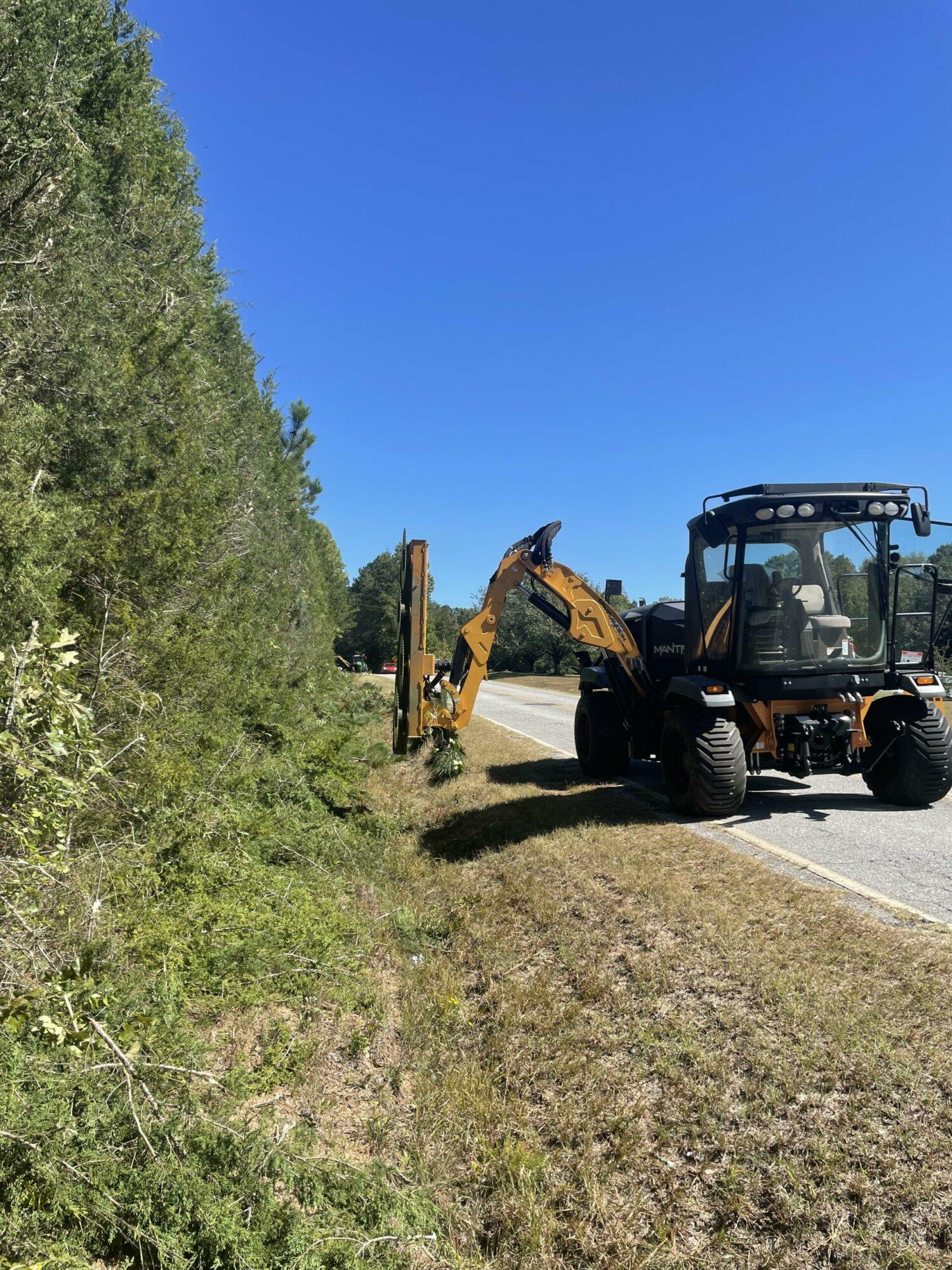 Road Clearance limbing - RWR Forestry